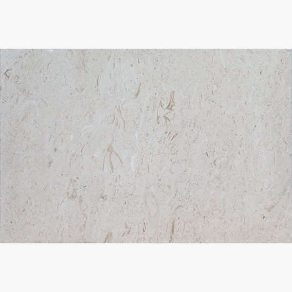 16x24 SHELL STONE Tumbled Limestone PAVER - Stone-Mart